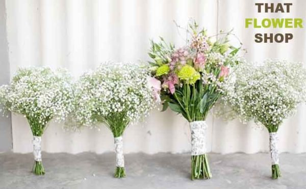 Does Baby Breath Come in Different Colors? - #1 That Flower Shop Online